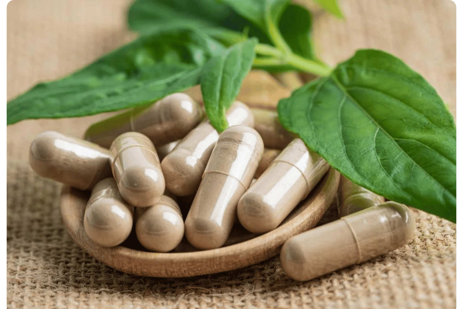 NATURAL EXTRACTS - Glentworth Formulations