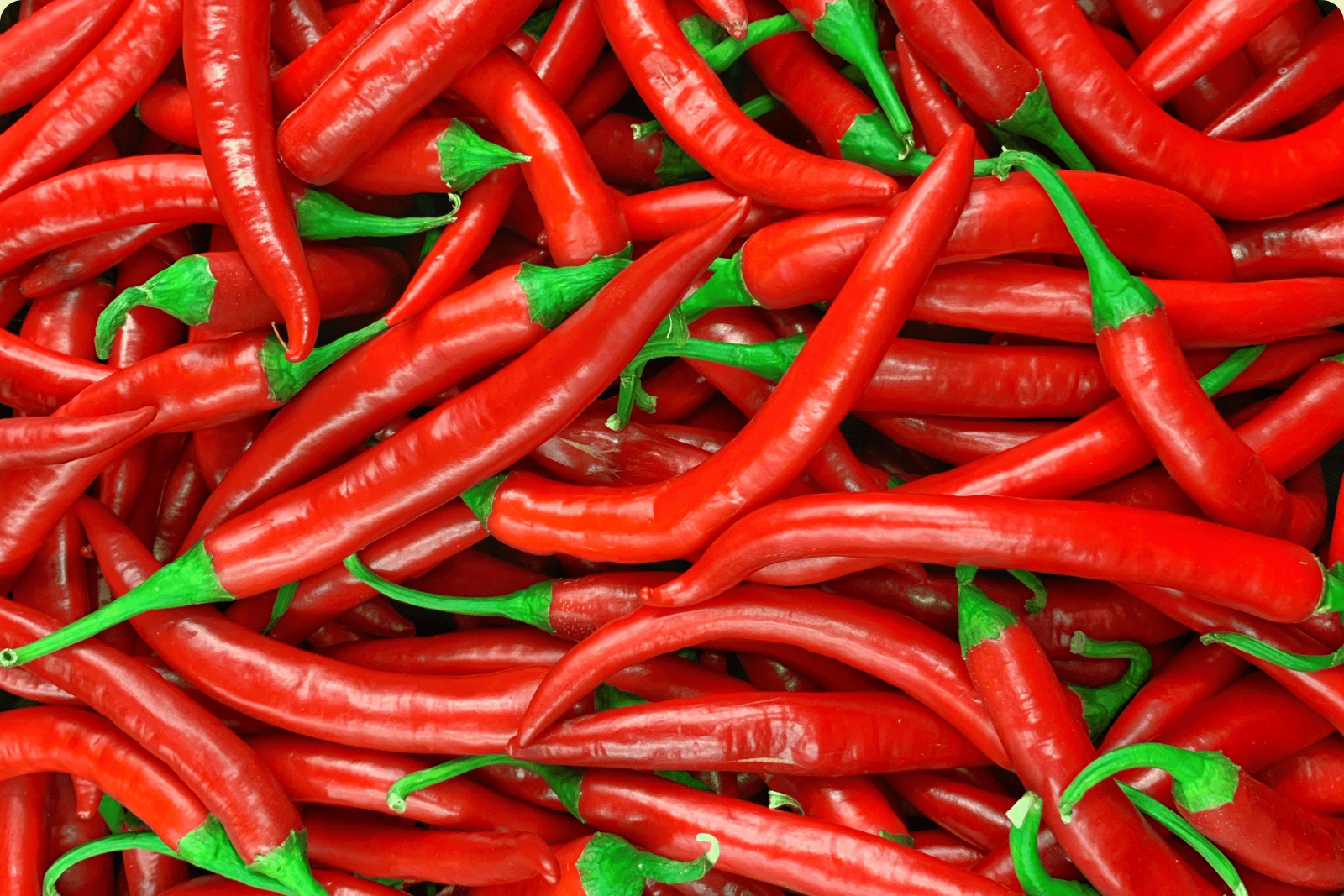 FROM HEAT TO HEALING: EXPLORING THE CAYENNE PEPPER EXTRACT - Glentworth ...
