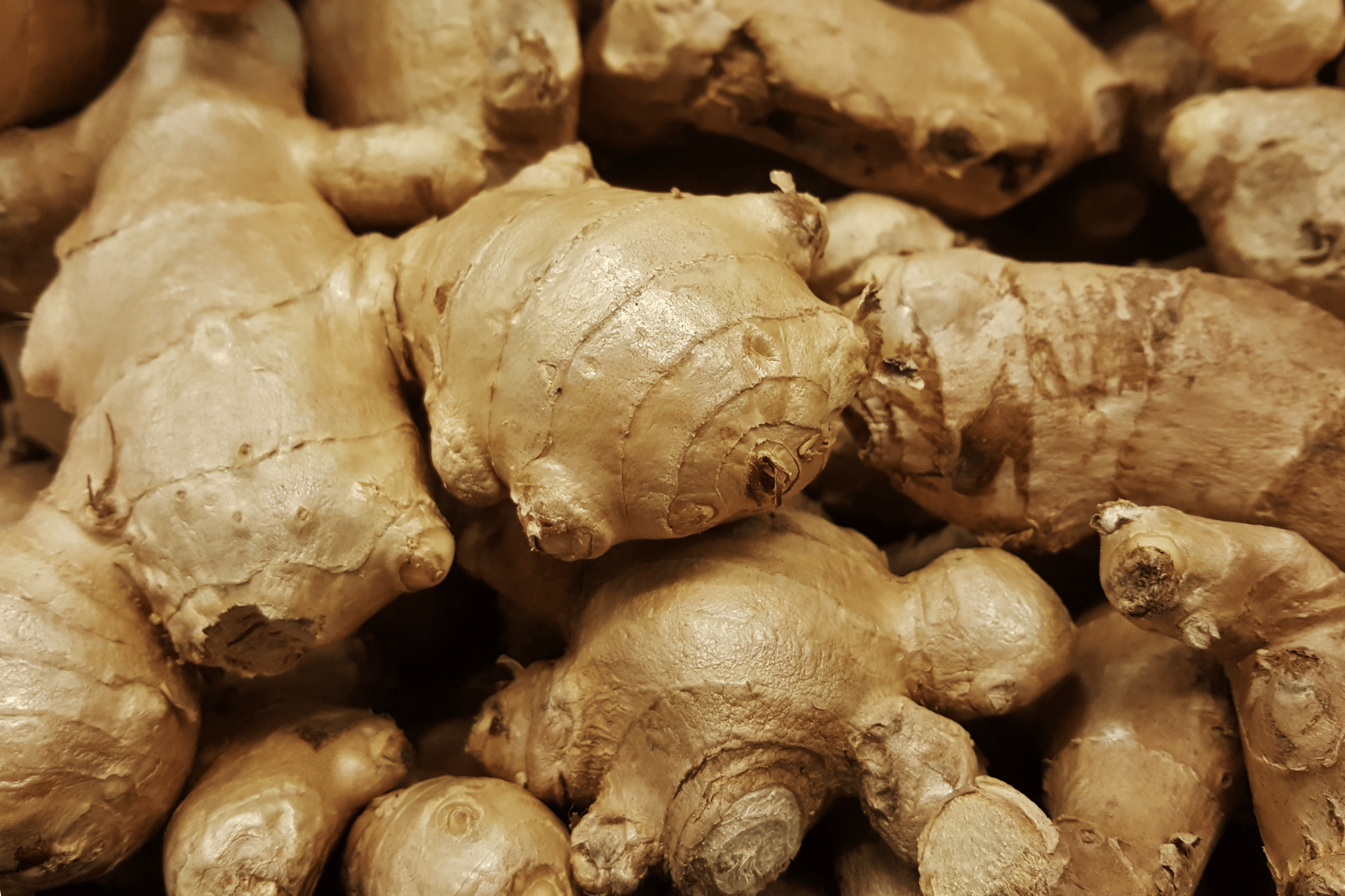THE MAGIC OF GINGER EXTRACT - Glentworth Formulations