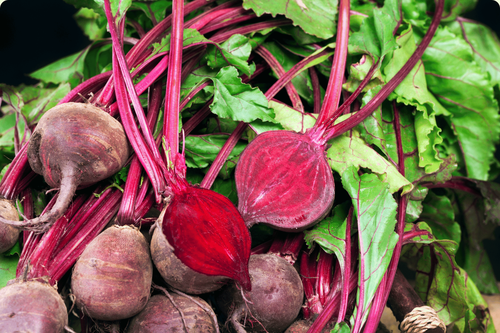 BOOST YOUR IMMUNE SYSTEM WITH BEETROOT EXTRACT: EVERYTHING YOU NEED TO ...
